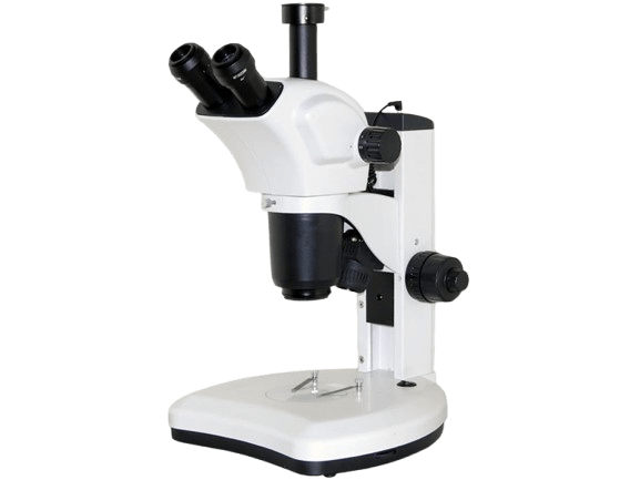 Stereo Microscope | VenusLab
